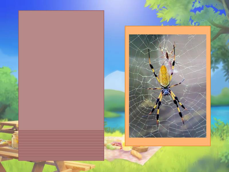 English File pre-intermediate - Unit 9A - Animals - Speaking cards