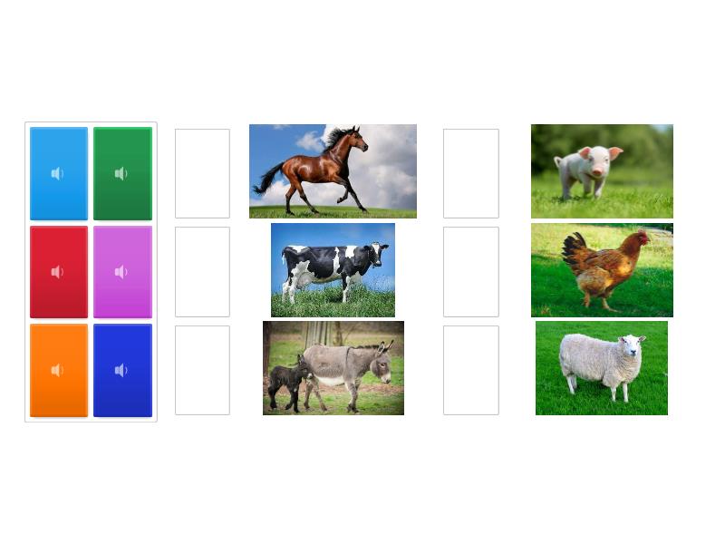 Animali della fattoria - Match up