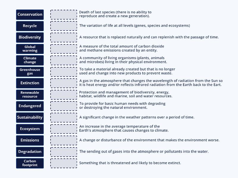 Environmental issues vocabulary - Match up