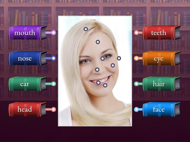 parts of head - Labelled diagram
