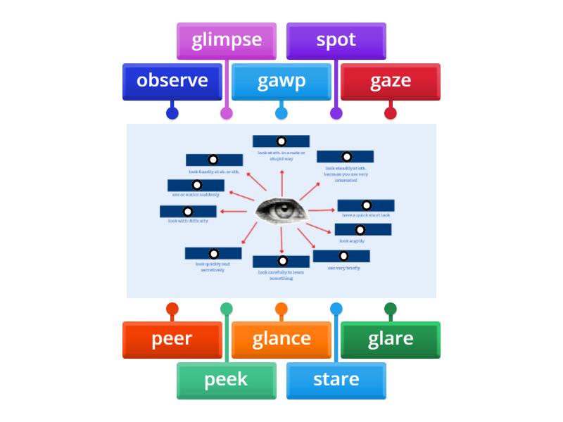 Ways of seeing - definitions - Labelled diagram