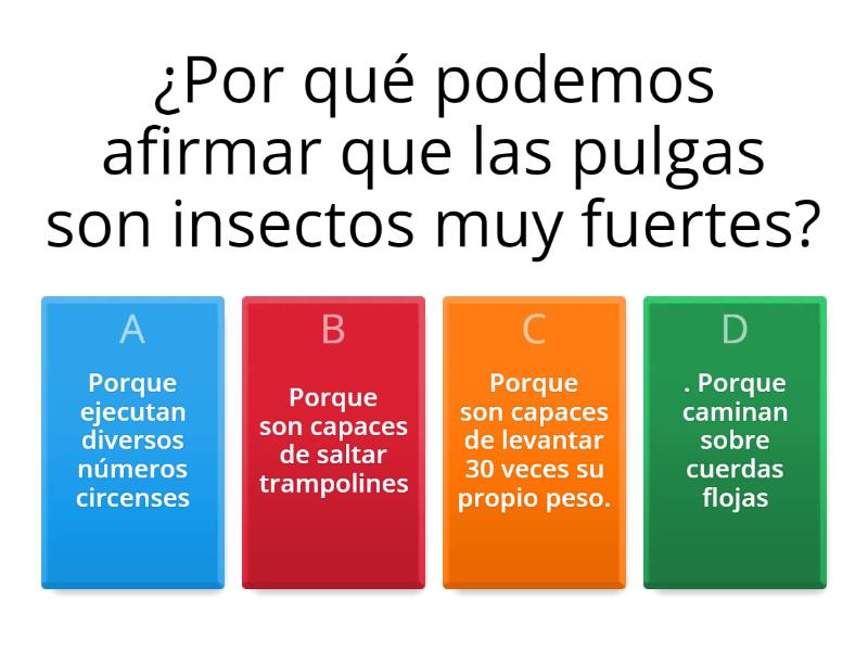 Preguntas de compresión de la lectura LOS CURIOSOS CIRCOS DE PULGAS - Questionário