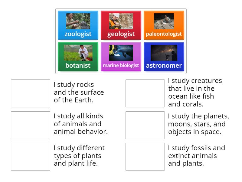 I Am a Scientist: Types of Scientists - Match up