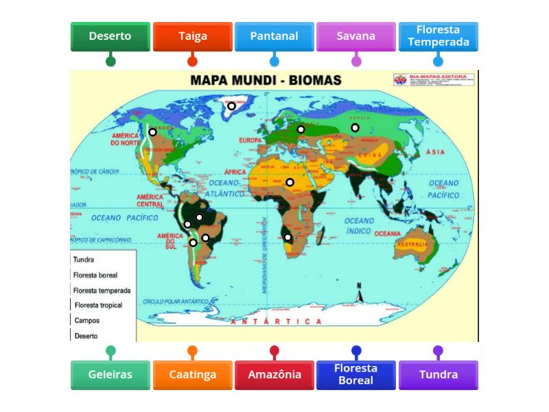 Biomas do Mundo - Labelled diagram