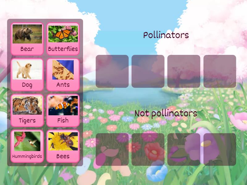 Pollinators grade 2 - Group sort