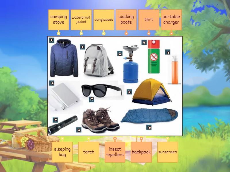 RoadMap Unit 7C - Labelled diagram