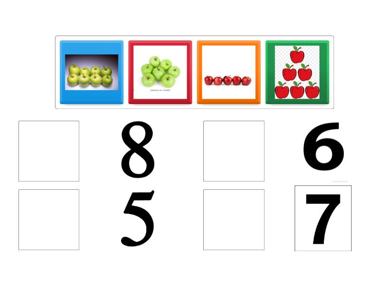 Number 5-8 - Match up