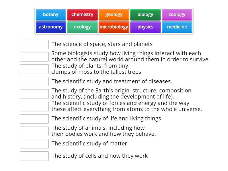 BRANCHES OF SCIENCE - Match up