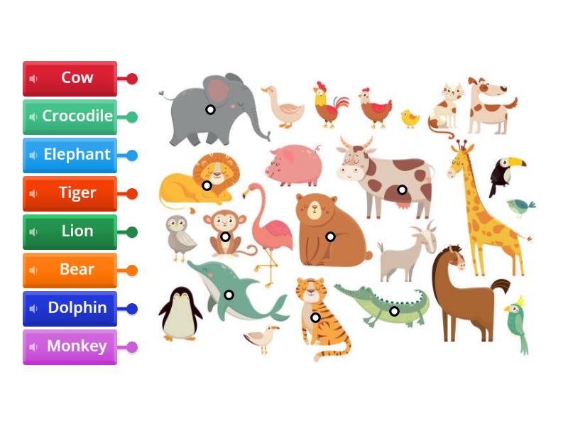 Animals - Labelled diagram