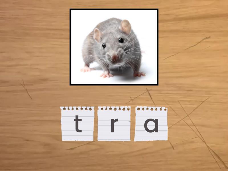 short vowels - Anagrama