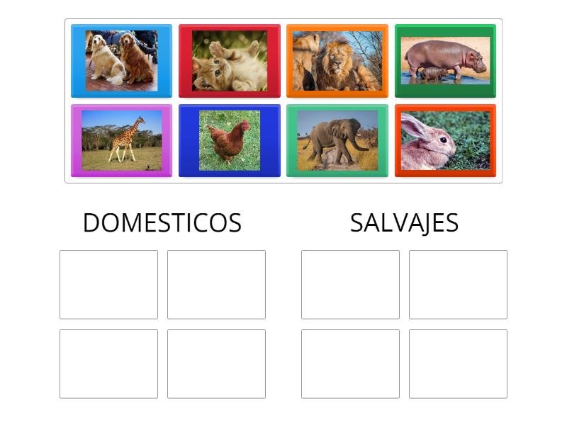 ANIMALES DOMESTICOS Y SALVAJES - Group sort