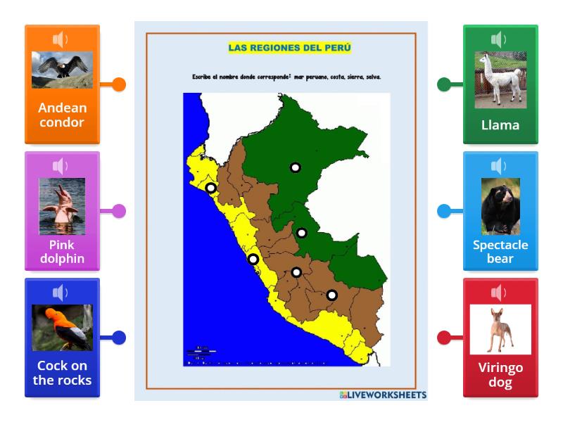 PERUVIAN ANIMALS - Labelled diagram