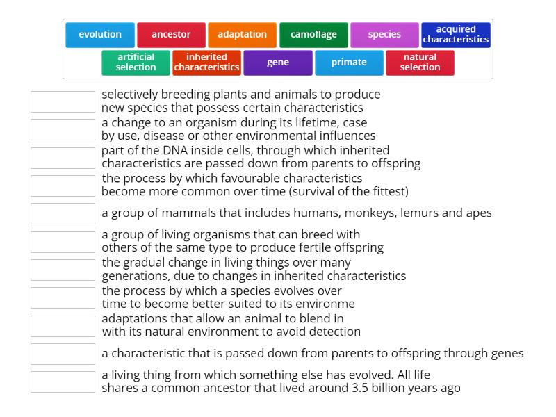 Year 6 Evolution & Inheritance Vocabulary - Match up