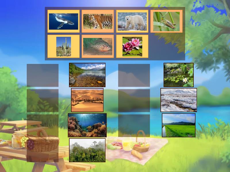 ECOSYSTEM - Match up