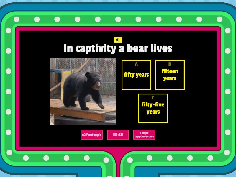 FACTS ABOUT BEARS - Gameshow quiz