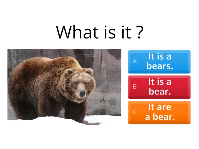 Peter Bear 3 it and they review - Quiz