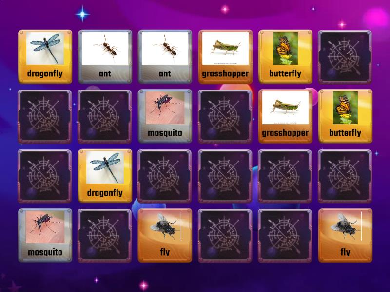 Insects - Memory game - Matching pairs