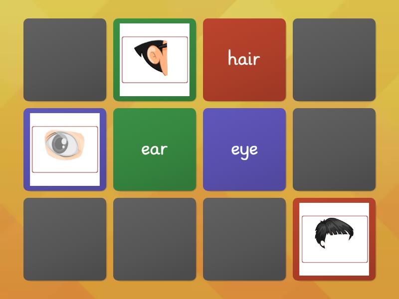 Be1 Unit 3 - My Body - My Face - Parejas