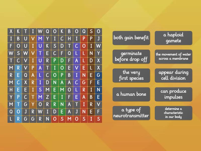 Biology SSIJB - Wordsearch