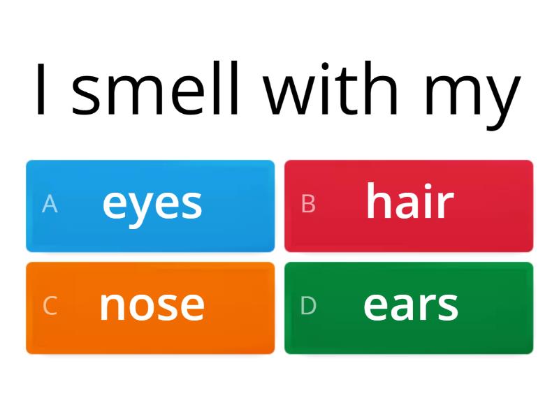 5 Senses - Quiz