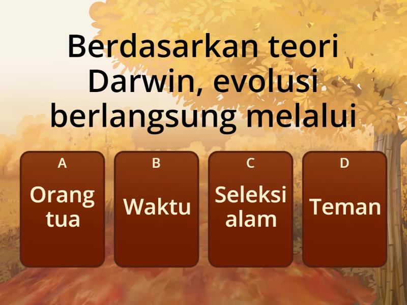 Evolusi - Cuestionario