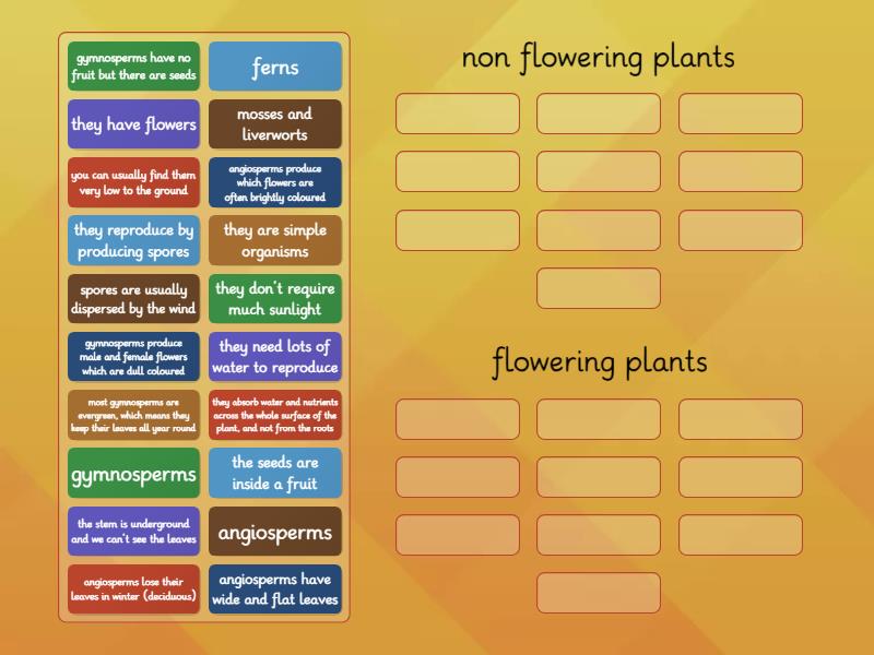 Flowering and non flowering plants - Group sort