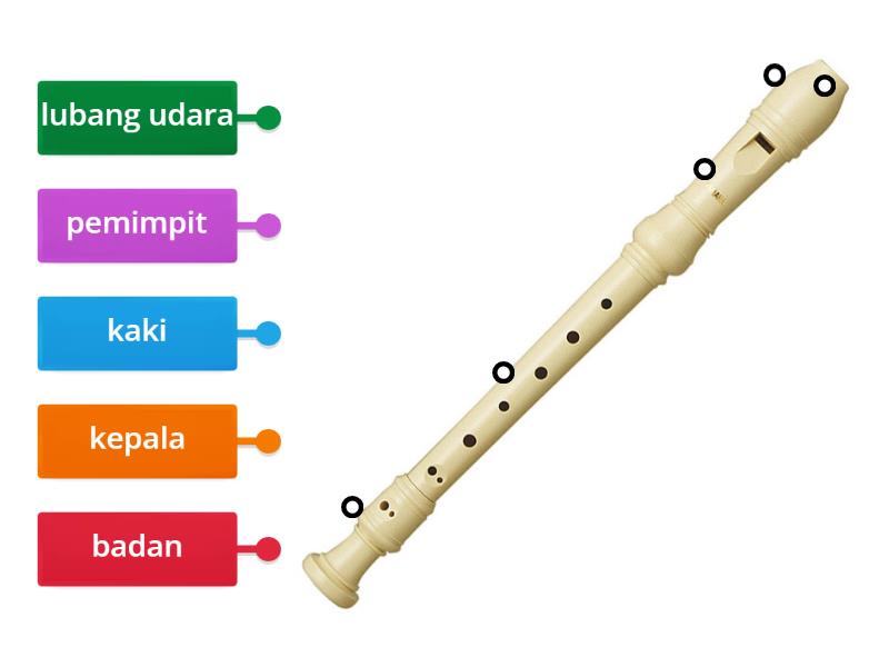 MUZIK TAHUN 3:KENALI BAHAGIAN REKODER - Diagrama con etiquetas