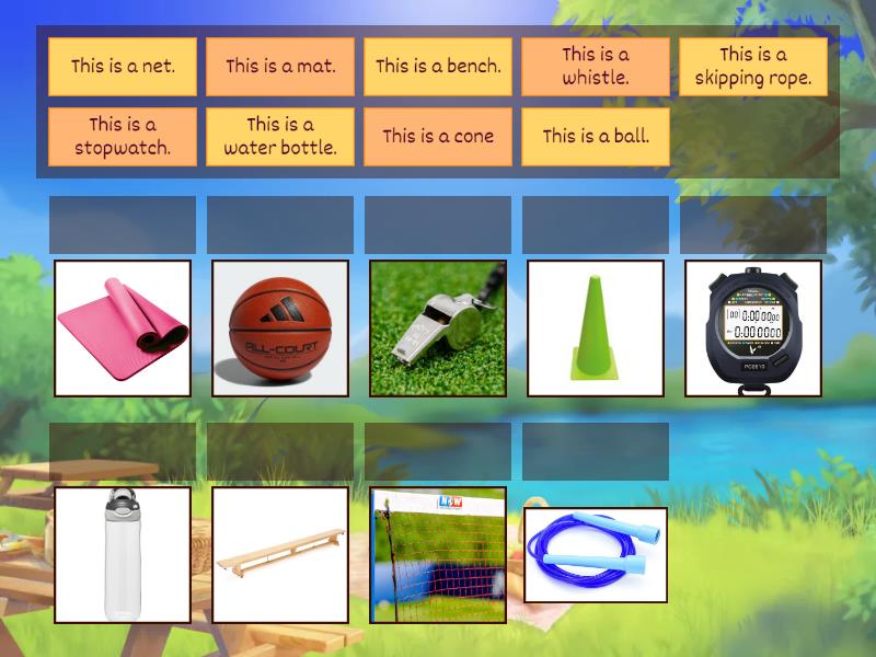 Sports and PE - Match up