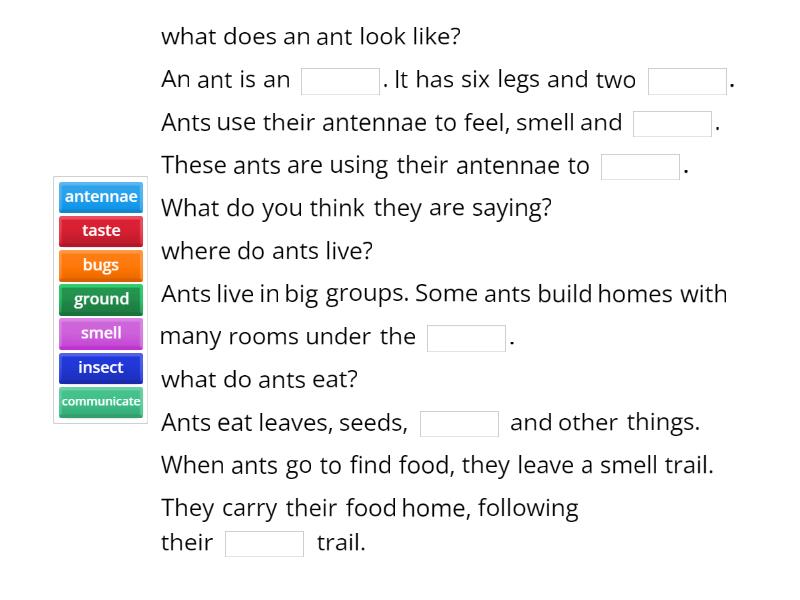 Ants - Complete the sentence