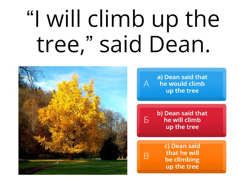 Future Simple Reported speech - Quiz