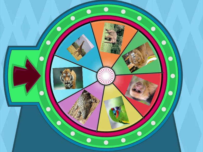 Animals - Random wheel