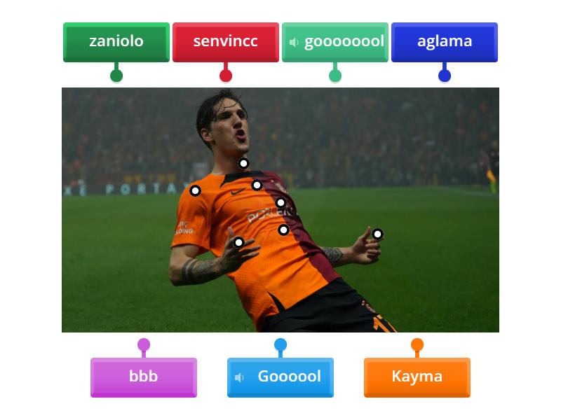 zaniolo - Labelled diagram
