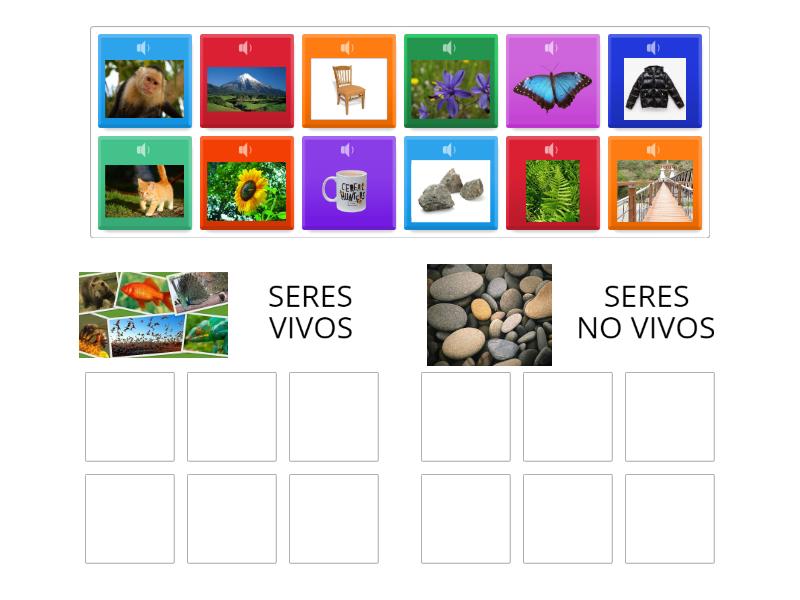 LOS SERES VIVOS Y NO VIVOS - Group sort