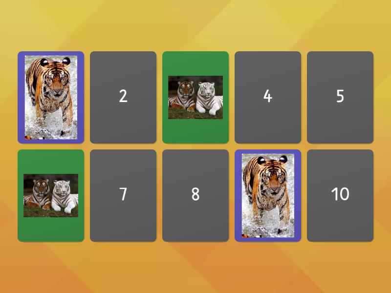 MEMOTEST TIGERS - Matching pairs