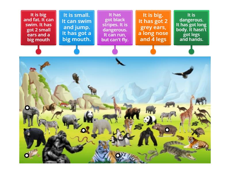 What animal is it? - Labelled diagram