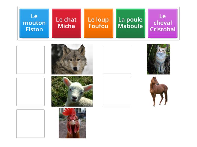 #1 Wordwall La poule Maboule (match characters) - Une las parejas