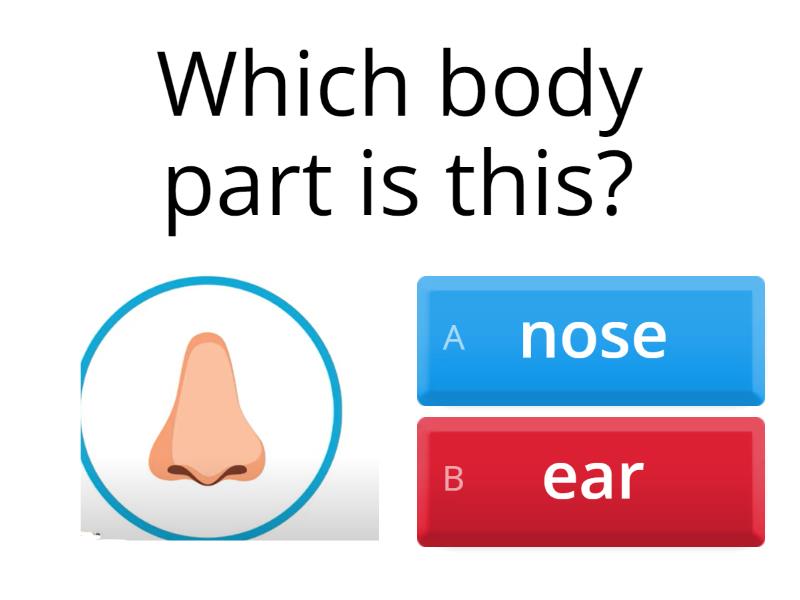 Body part - Quiz