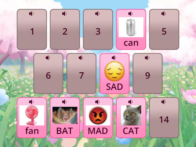 Rhyming CVC A words - Matching pairs