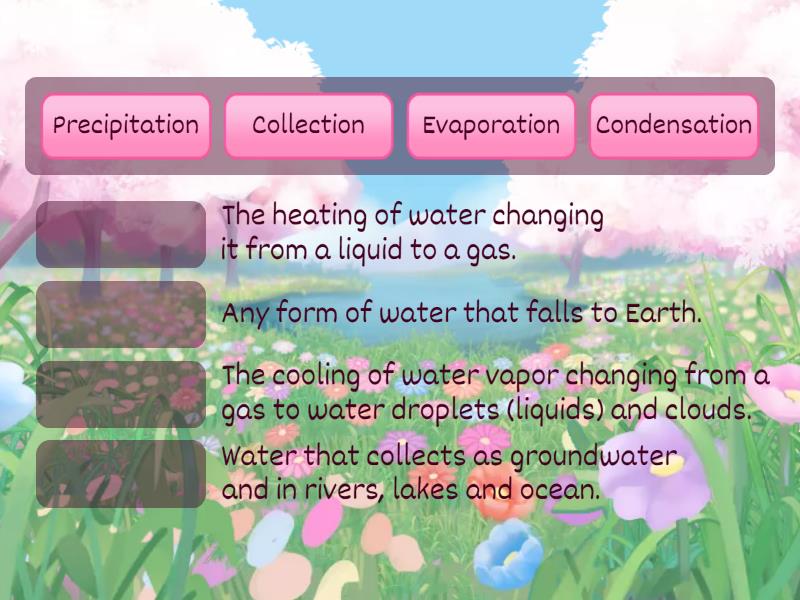 Stages of the Water Cycle - Associação