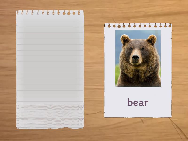 Taboo - relative pronouns - Speaking cards