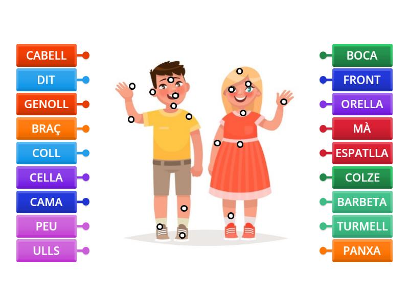 PARTS DEL COS - Labelled diagram