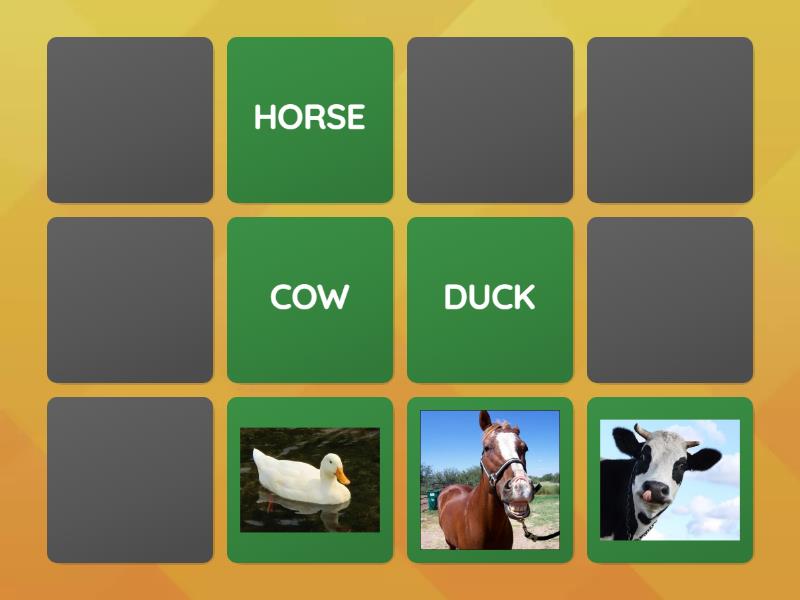 MEMORY GAME - FARM ANIMALS - Matching pairs
