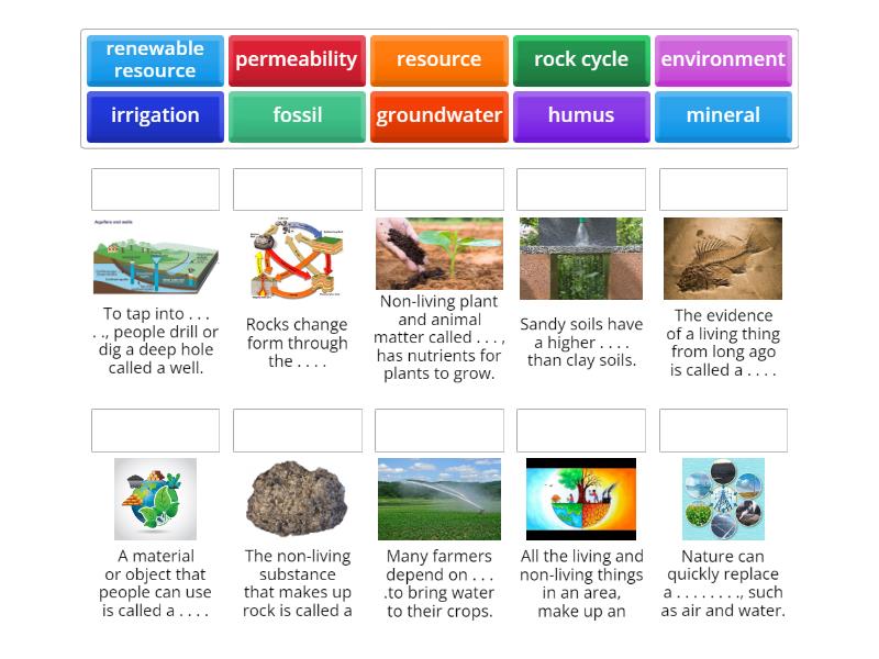 ACL 4 21 Pollution and Conservation - Match up