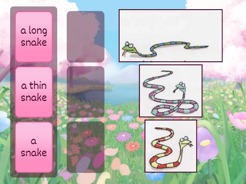 EW1 Pre-teach p.54 "Ned, the snake" - Match up