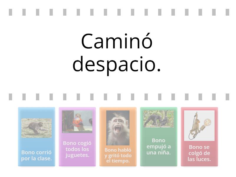 Bono el mono en la escuela - Cada oveja con su pareja