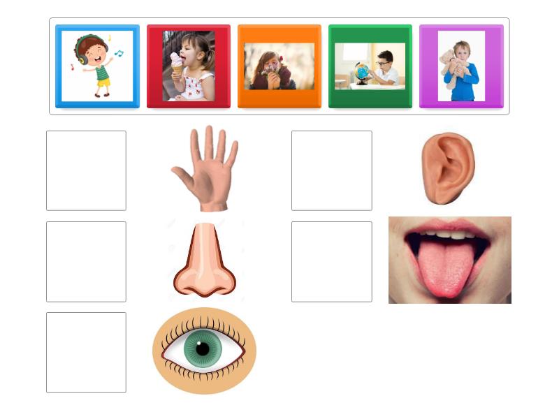 Los Sentidos - Match up