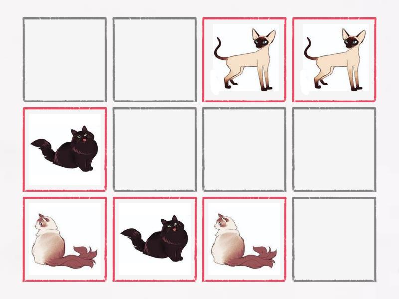 Find the pairs - Matching pairs