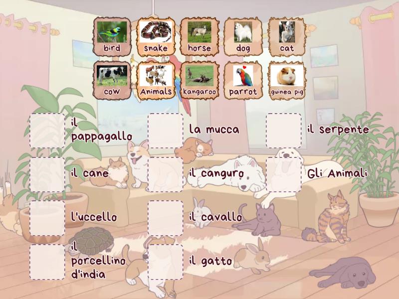 Gli Animali - Animals - Match up