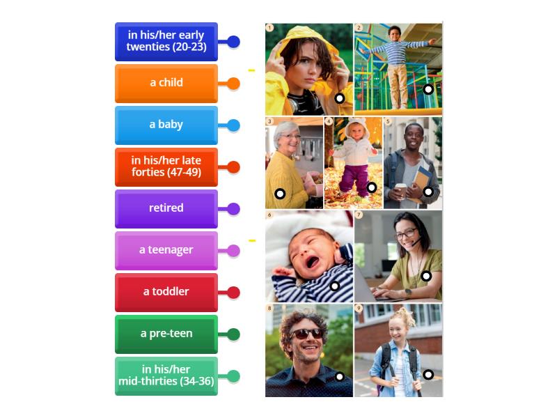 Stages of life B1 - Labelled diagram