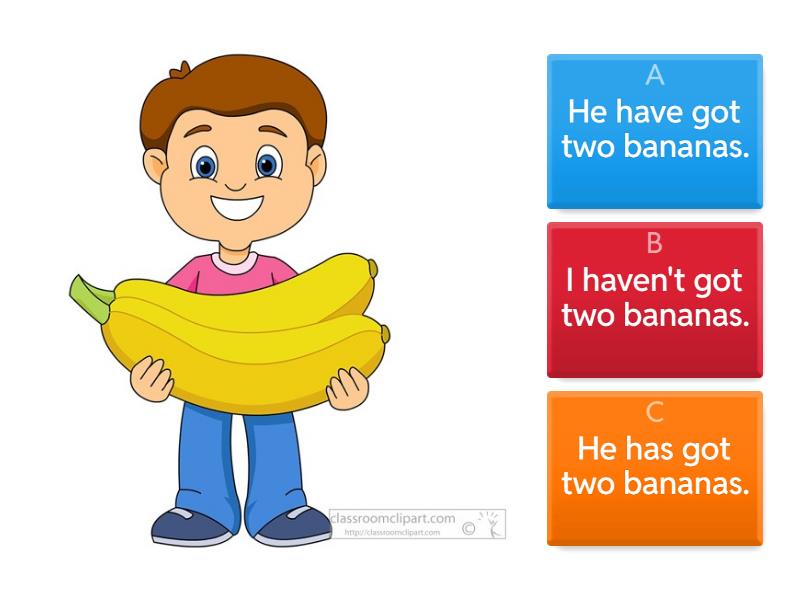 Sm1 have got/haven't got - Quiz